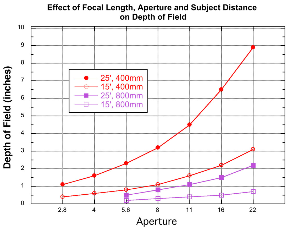 WildNaturePhotos Blog - Wildlife and Nature Stock Photography Blog